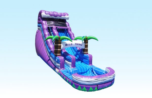 Water Slides | Fun Time Event Services